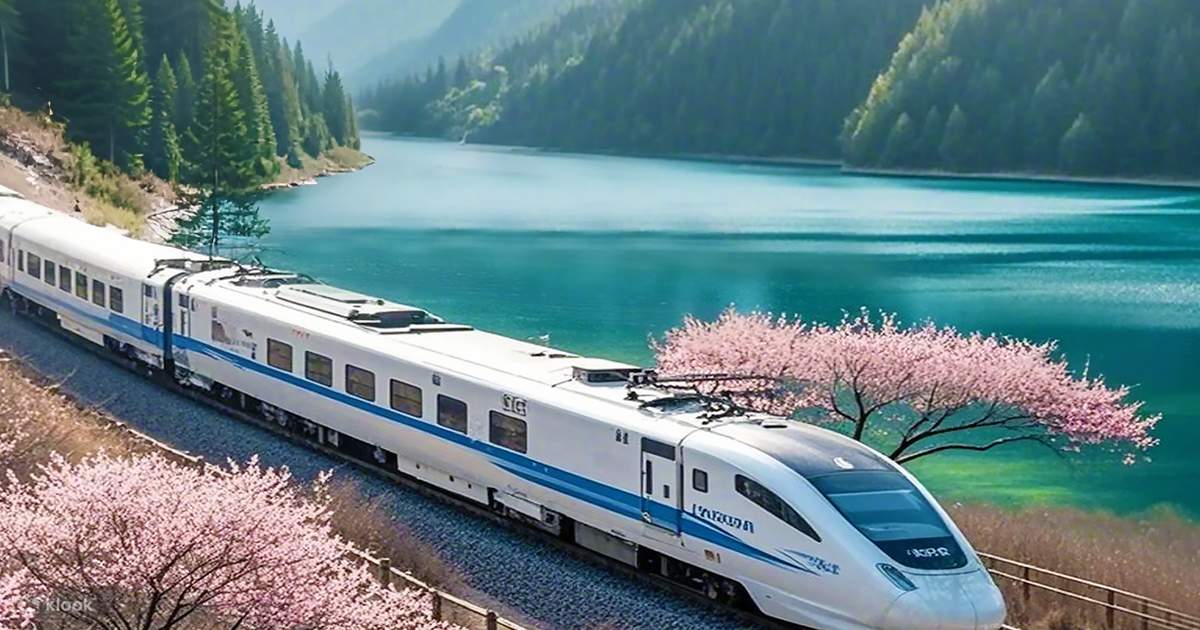 [China Railway Tour] Excursión de 1 día a Chengdu y Jiuzhaigou en tren ...